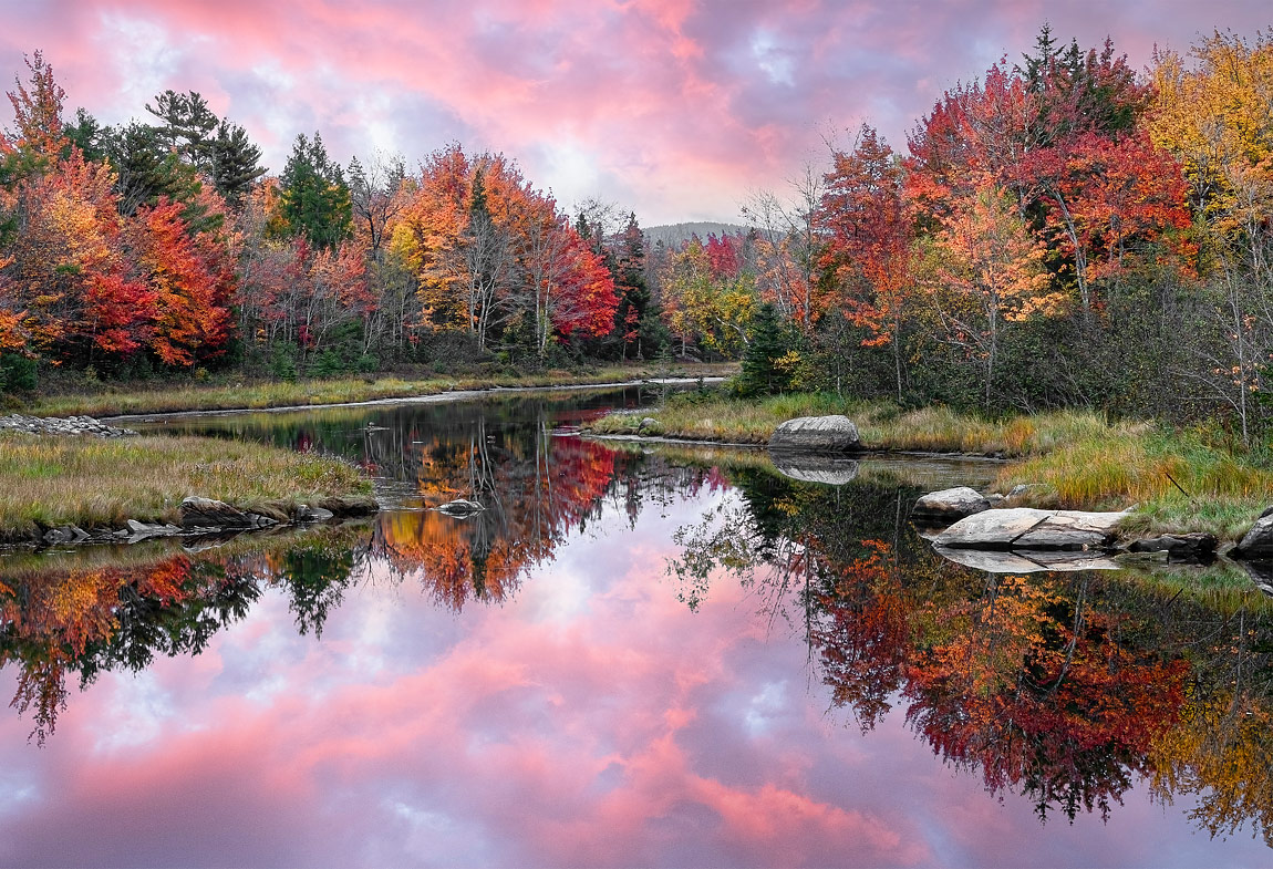 New Beginnings – The SMCC Beacon